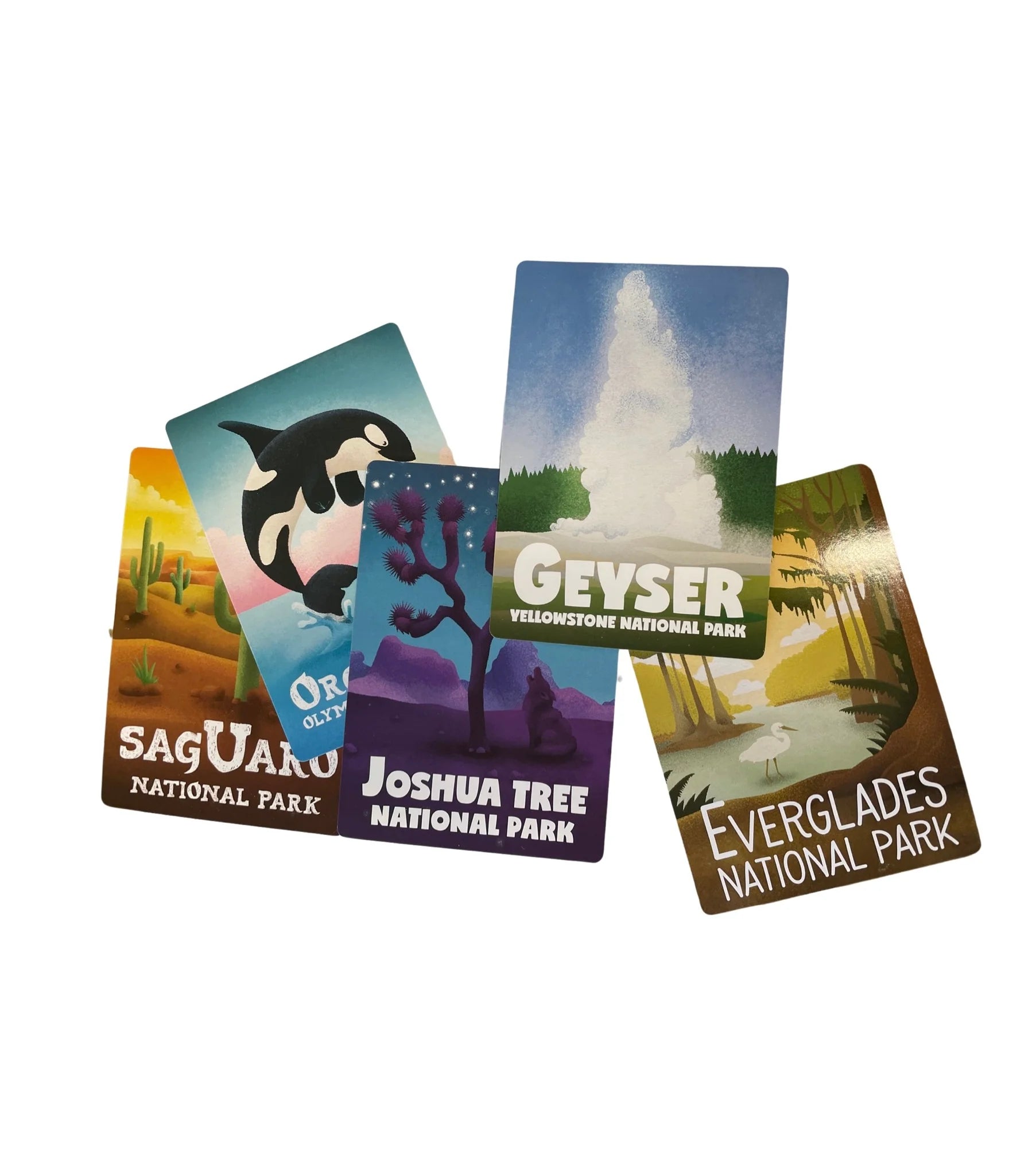 All About the National Parks Flash Cards – Red Orchard