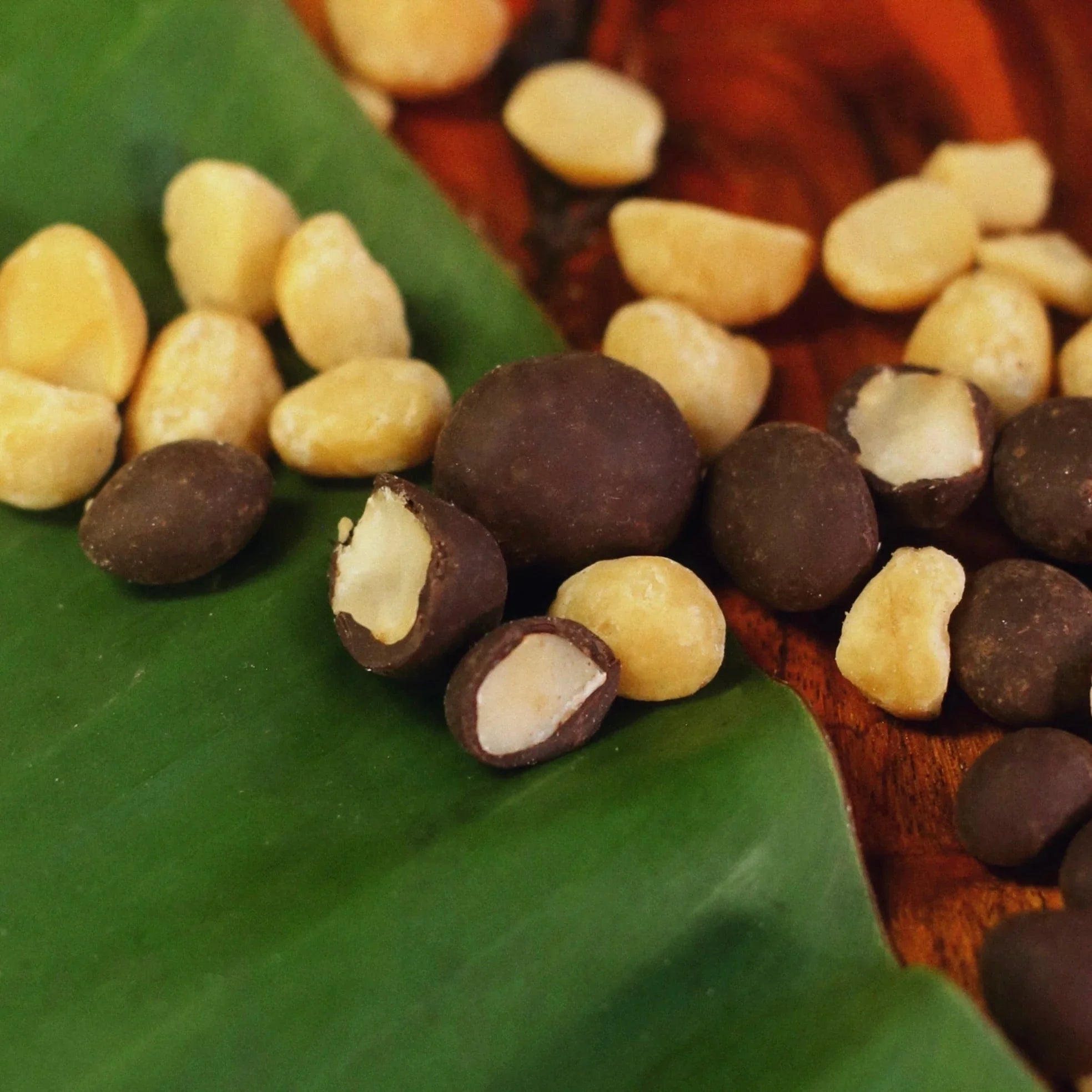 Manoa Coffee Chocolate Macadamia Nuts – Red Orchard