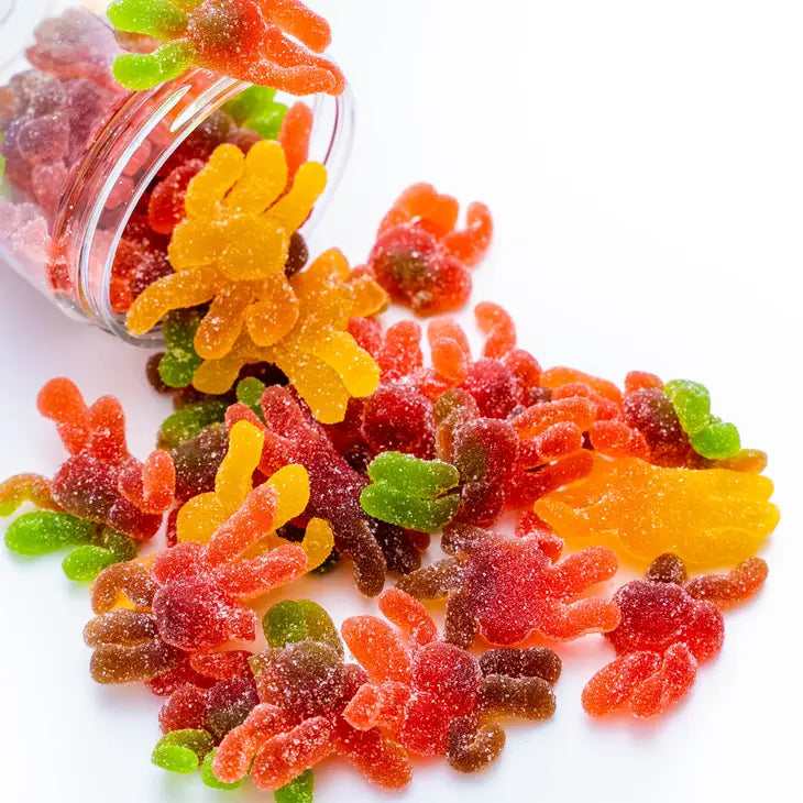 Fright Bites Halloween Gift Set – Red Orchard