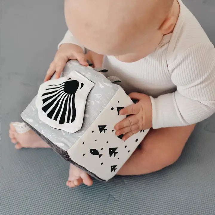 Ocean Block – Red Orchard