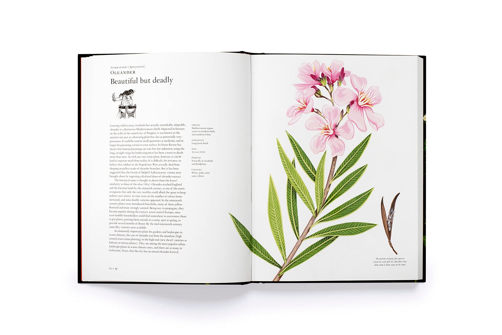 The Story of Flowers – Red Orchard