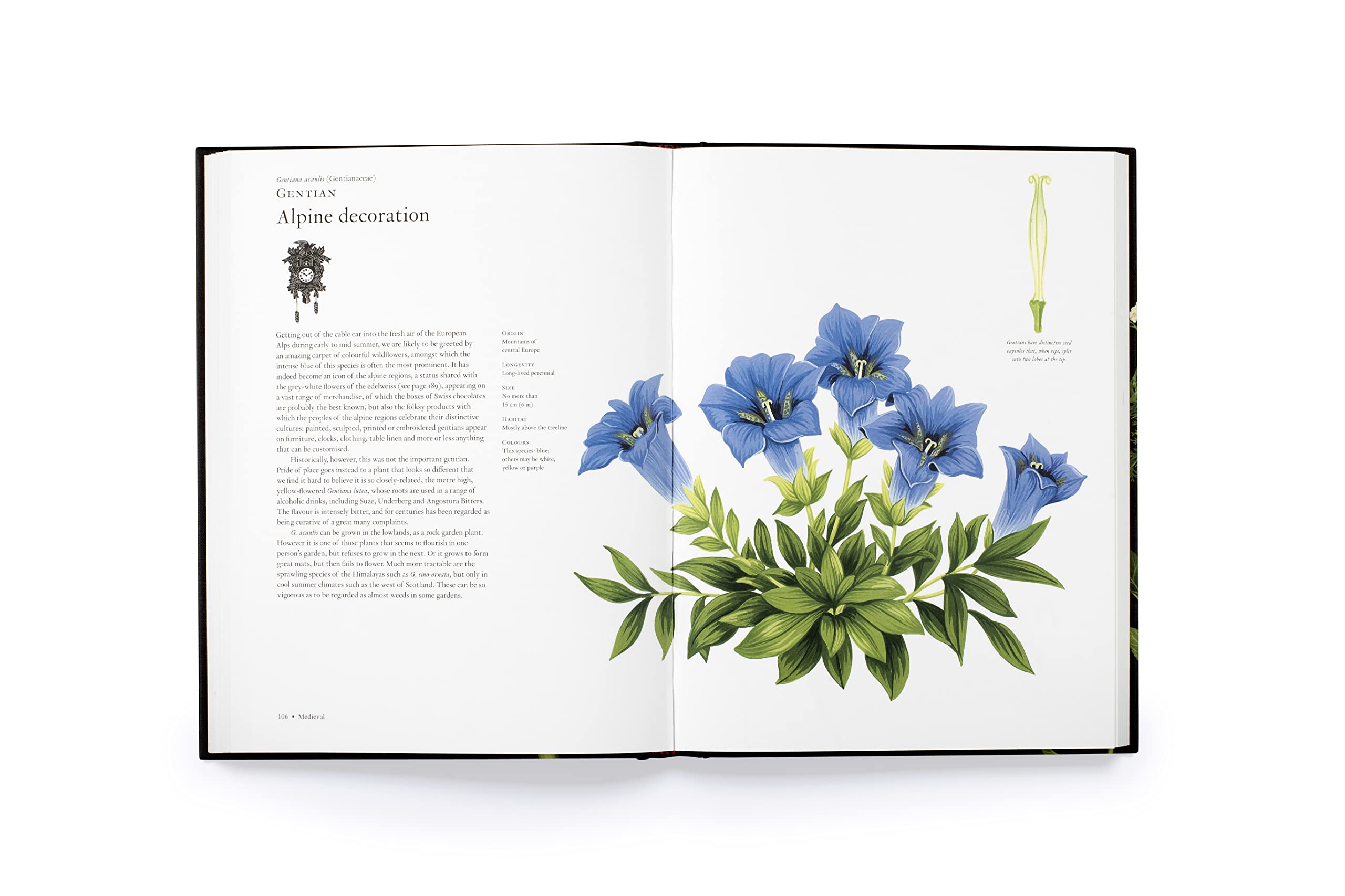 The Story of Flowers – Red Orchard