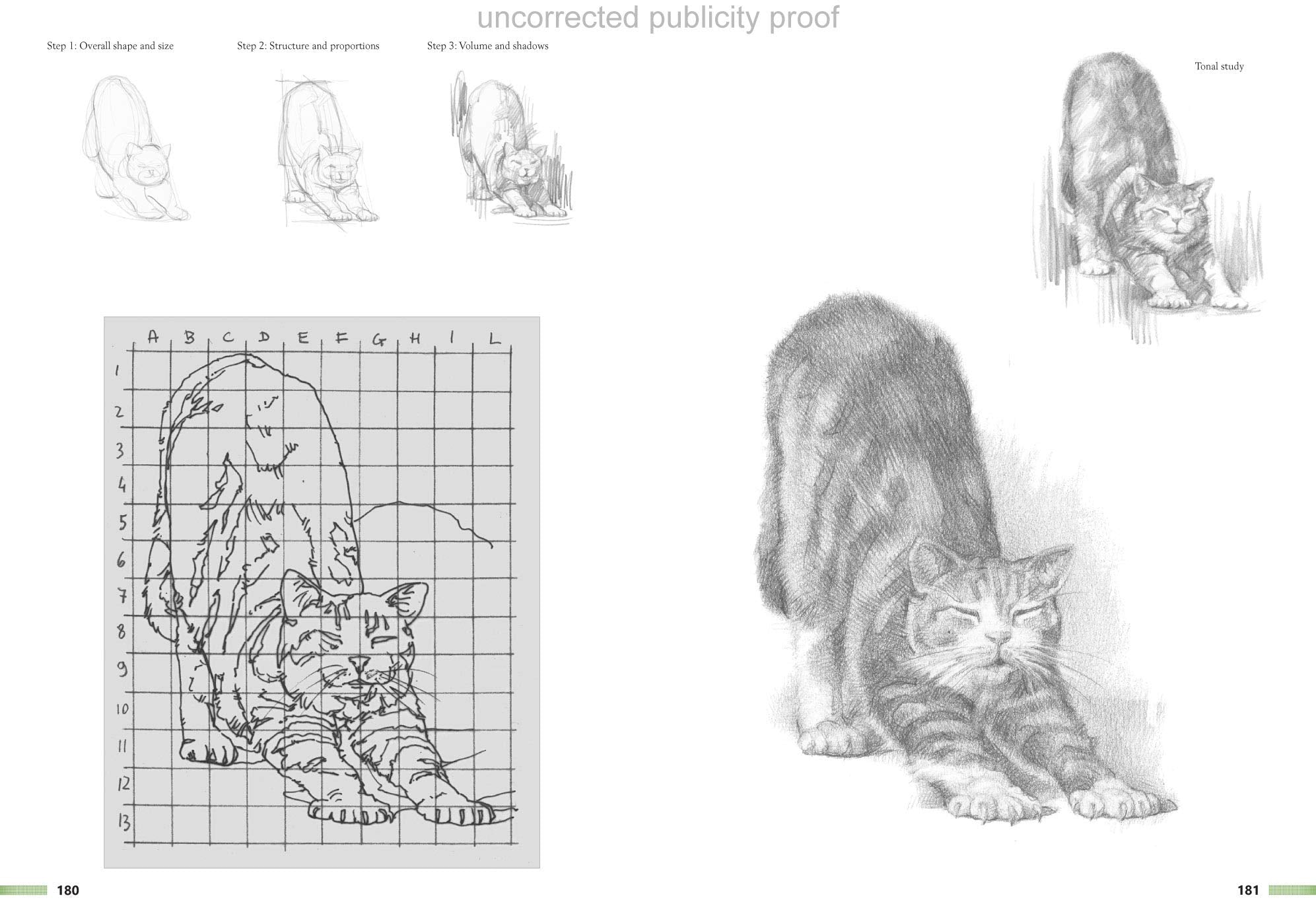 Drawing Animals Using Grids – Red Orchard
