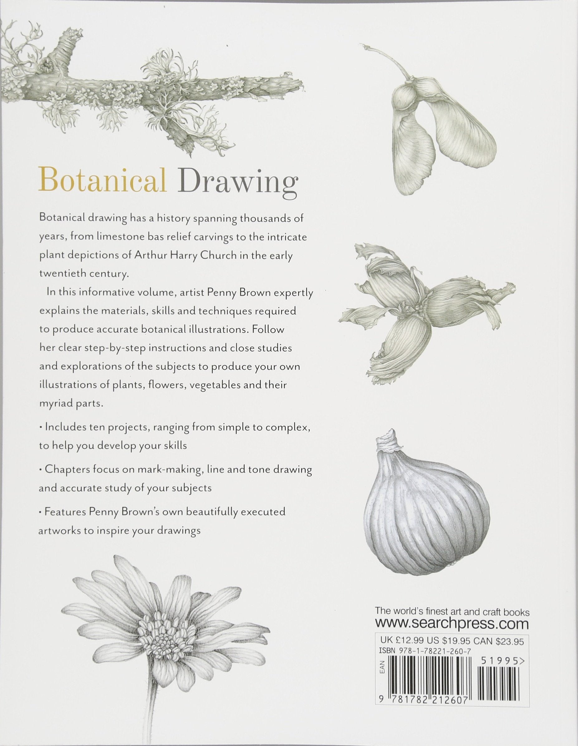 Botanical Drawing: A Step by Step Guide – Red Orchard