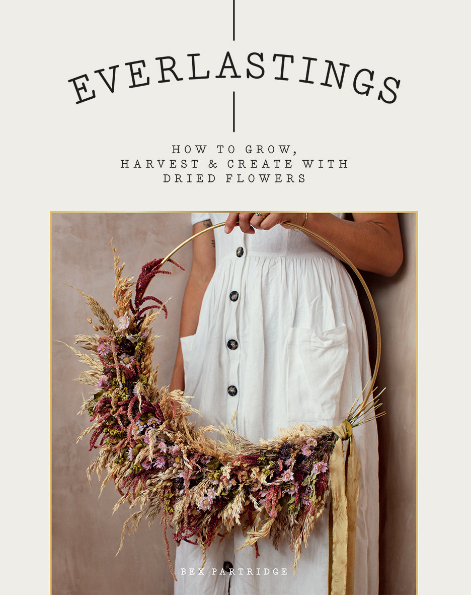 Everlastings – Red Orchard